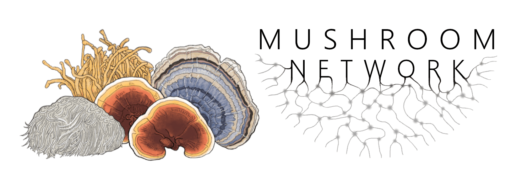 Mushroom Network | Spreading the Magic of Mycology